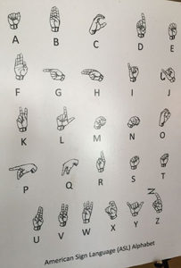 Many Ways We Tell Our Stories: American Sign Language – nancy bo flood